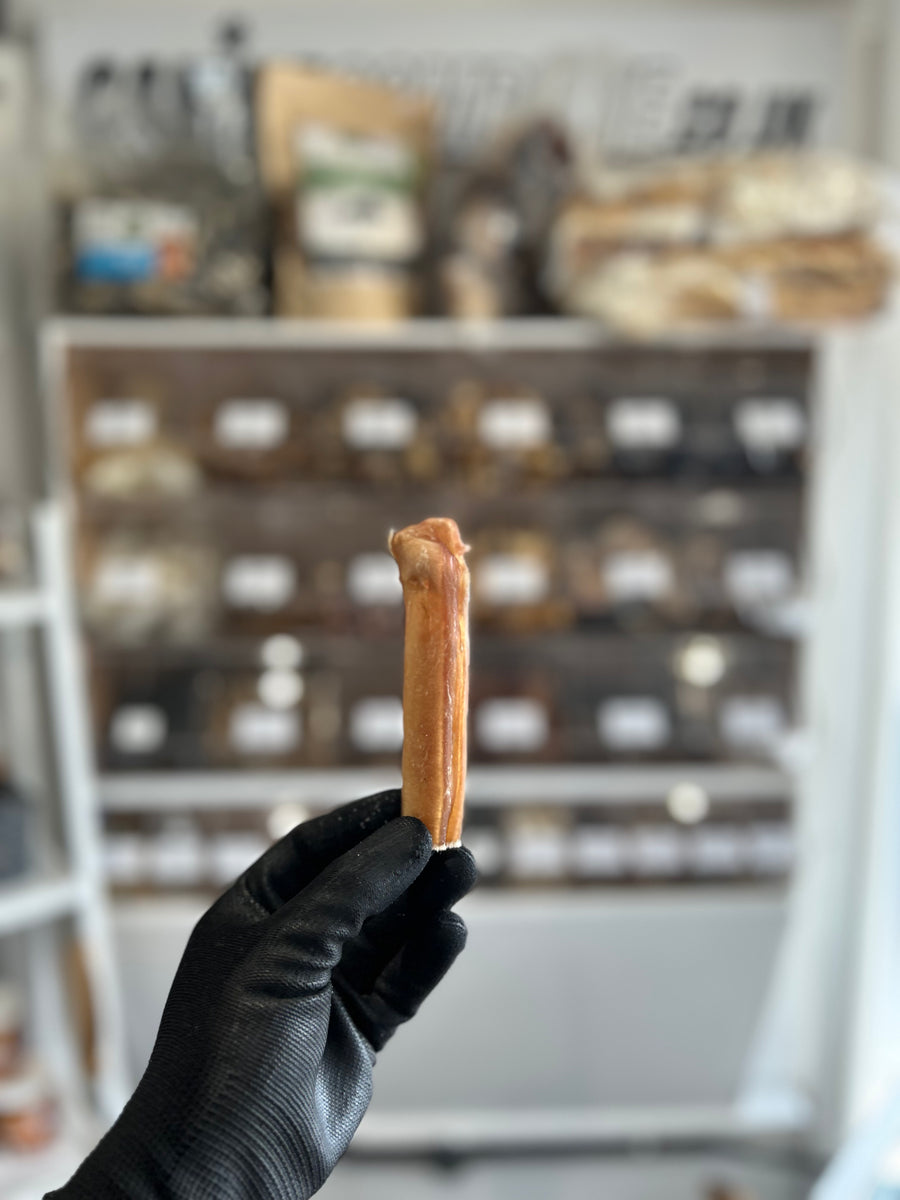 Bull Pizzle for Dogs - Durable, Protein-Rich Chew for Dental Health ...