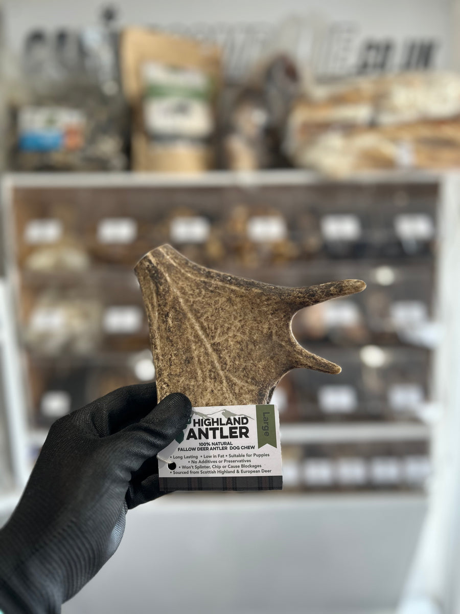 Deer Fallow Antler for Dogs - Natural, Long-Lasting Chew for Dental ...