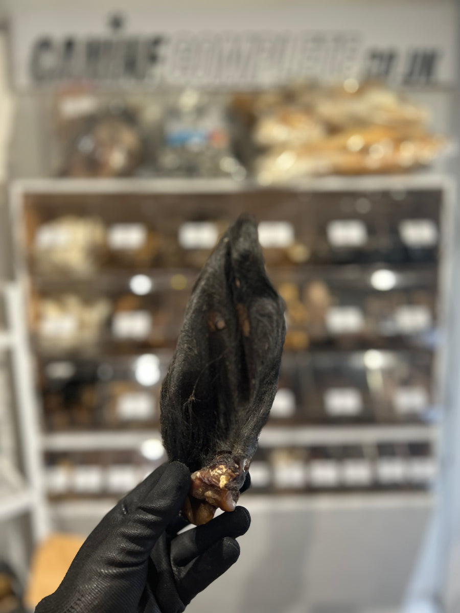 Hairy Buffalo Ear for Dogs – Natural, Long-Lasting Chew Treat – Canine ...