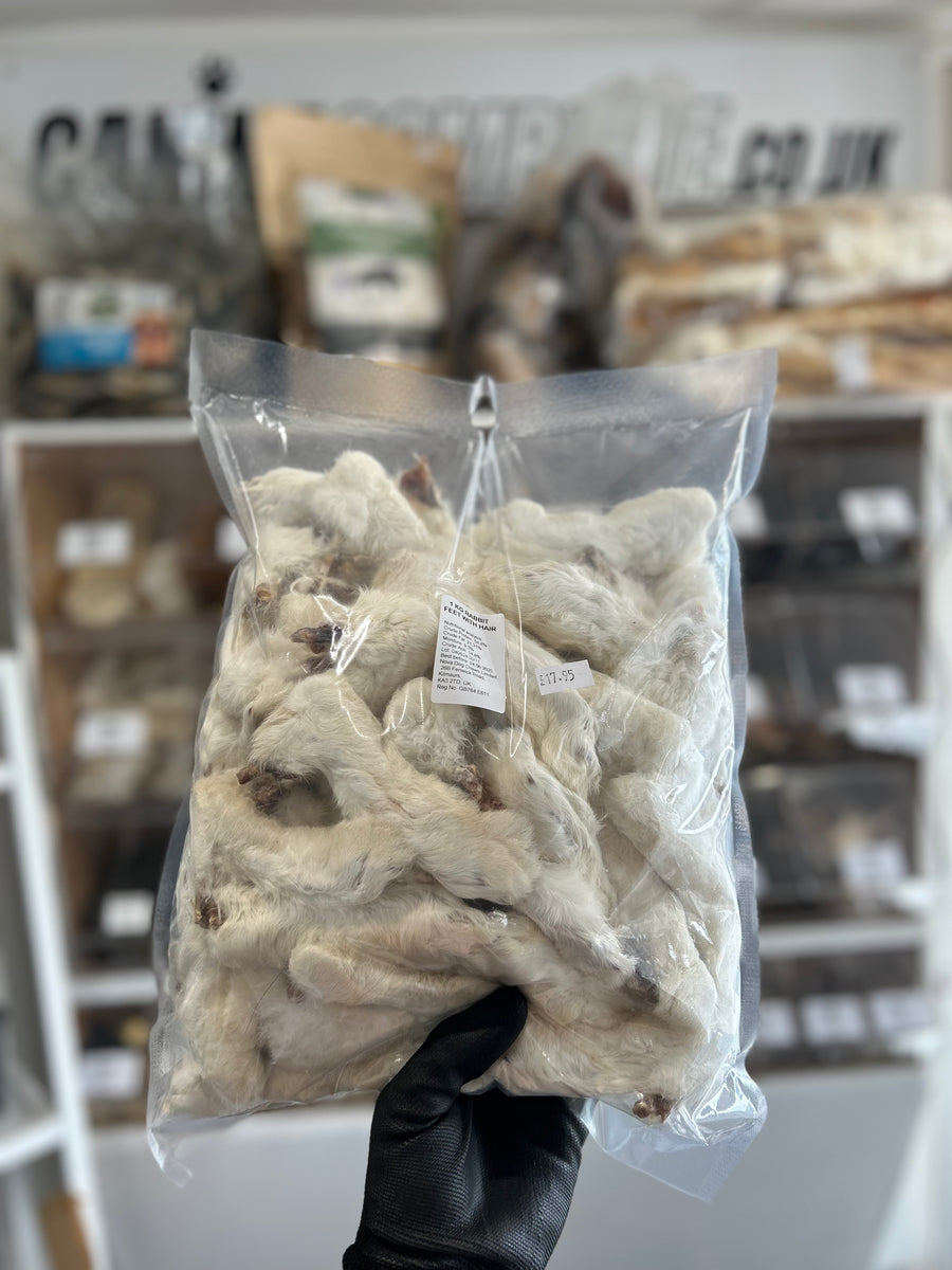 Rabbit Feet for Dogs - Natural, Protein-Packed Treats for Healthy ...
